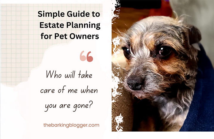 Promises Kept: A Guide to Protecting Your Pets After You’re Gone - The ...