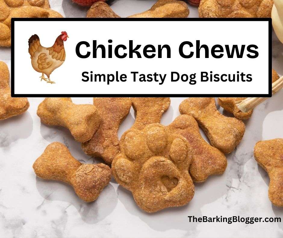 Chicken Chews - The Barking Blogger